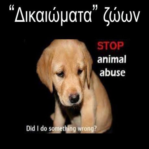 κακοποιηση ζωων | PPTX