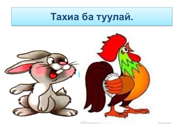 тахиа туулай