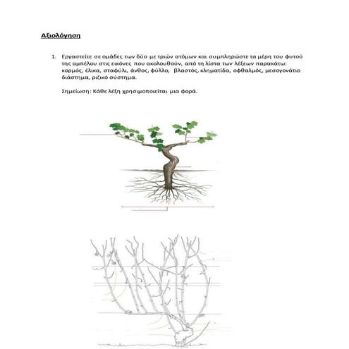 Φύλλο αξιολόγησης ΠΑΔ 2 | DOCX