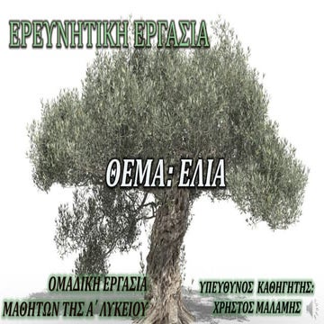 Ελιά 2015-16 | PDF