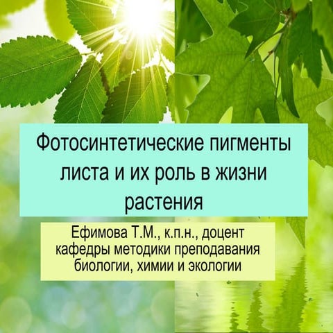 Физиология растений | PPT