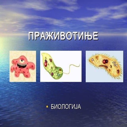 PRAŽIVOTINJE-AMEBE* | PPT