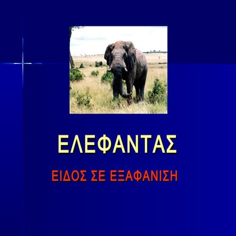 ελεφαντας | PPT