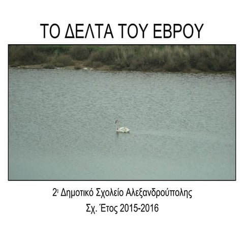 το δελτα του εβρου | PPT