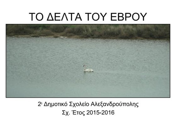 Byzantino mouseio didymoteixou | PPTX