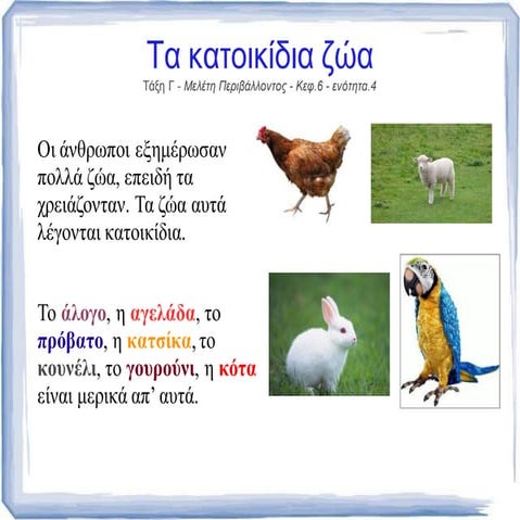 κατοικίδια ζώα-!!!!! | DOCX