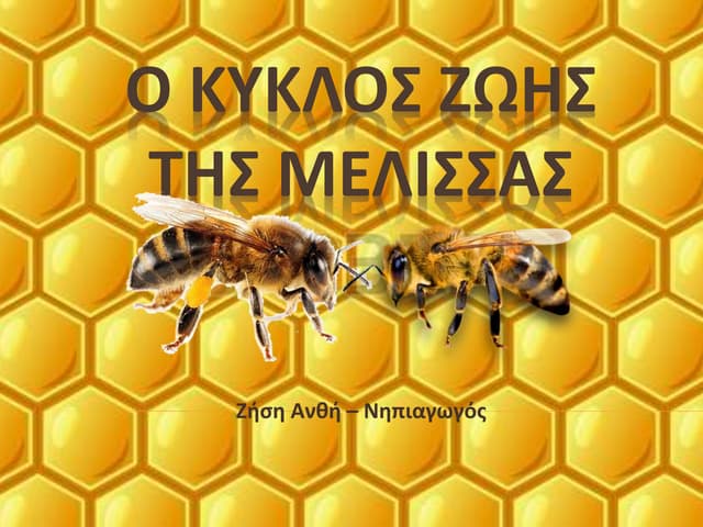 Οι τέσσερις εποχές | PDF