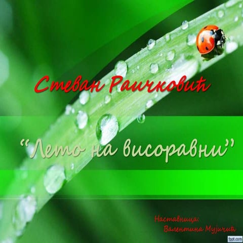 Stevan Raickovic, Leto na visoravni | PPSX