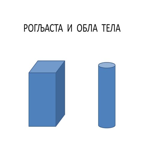 Рогљаста и обла тела | PPTX