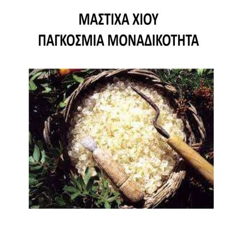 ΜΑΣΤΙΧΑ ΧΙΟΥ - ΠΑΓΚΟΣΜΙΑ ΜΟΝΑΔΙΚΟΤΗΤΑ | PPTX