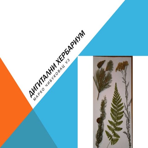 Digitalni herbarijum | PPTX