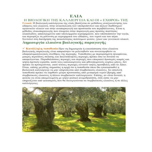καλλιέργεια της ελιάς | PDF