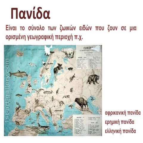 ΠΑΝΙΔΑ | PPTX