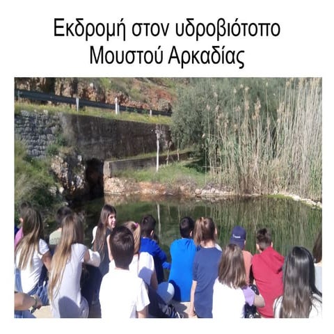 Εκδρομές Ε δημοτικού | ODP