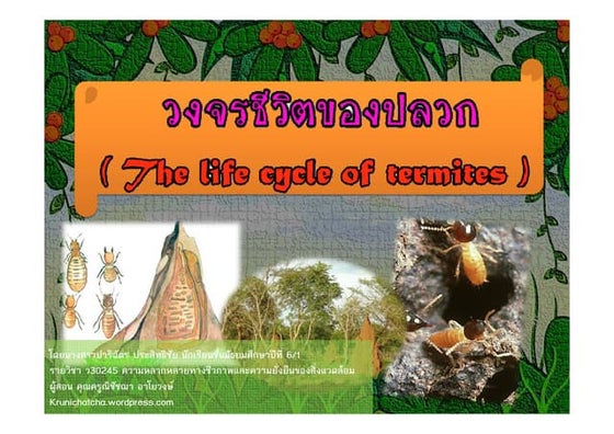 My favorite music artists | PPTX