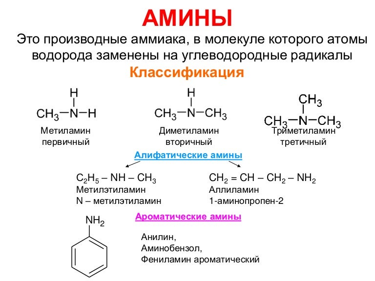 Амины