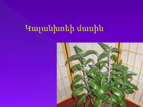 Եզոպոս | PPT