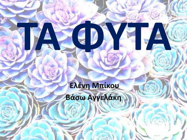 Φυτα | PPT
