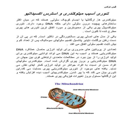 تئوری آسیب میتوکندری و استرس اکسیداتیو، دکتر محمد بقایی Pdf