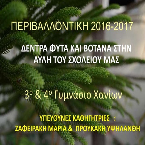 Δέντρα φυτά και βότανα στην αυλή του σχολείου μας | PPTX