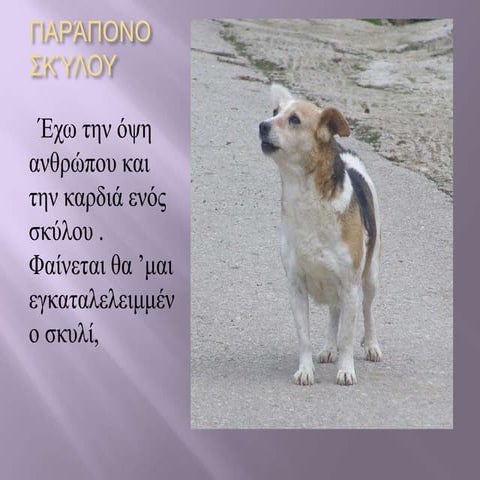 παράπονο σκύλου, χρήστος γεωργίου. | PPTX