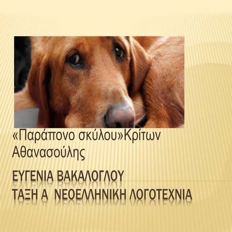 παράπονο σκύλου | PPTX
