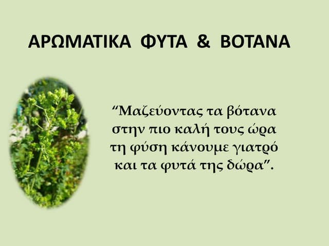 ΤΡΑΓΟΥΔΙΑ ΓΙΑ ΤΗΝ 28η ΟΚΤΩΒΡΙΟΥ 1940 | PDF