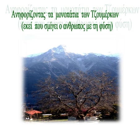 ανηφοριζοντας τα μονοπατια των τζουμέρκων | DOCX