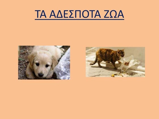 παγκόσμια ημέρα ζώων κάρτα | PDF