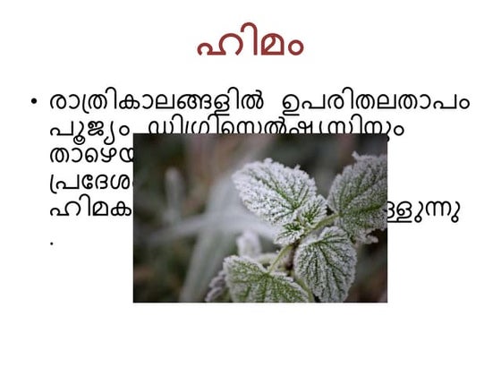 TEACHING PRACTICE | PPT