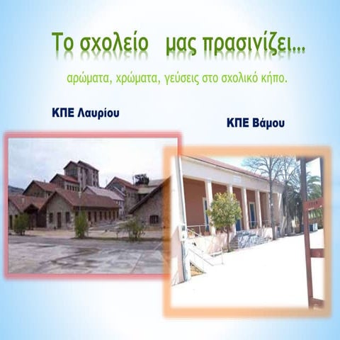 Το σχολείο μας πρασινίζει : αρώματα, χρώματα, γεύσεις στο σχολικό κήπο ...