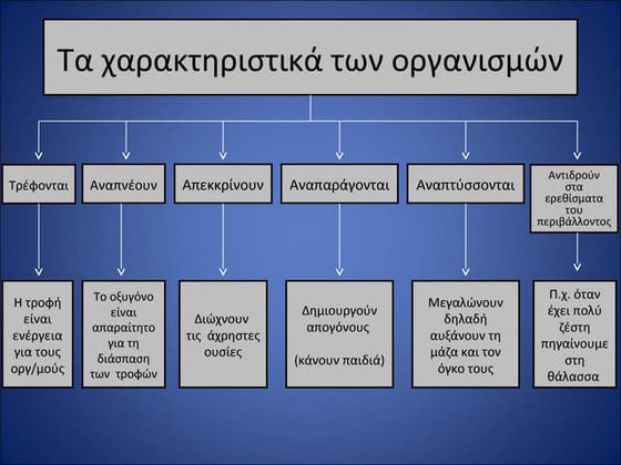 Κεφάλαιο 4 - Η Οικονομία (Πολιτική Παιδεία Α' Λυκείου) | PDF
