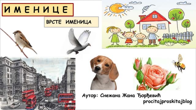 Gradivne imenice slavica radojicic | PPT