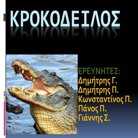 κροκοδειλος-Χρύσα Κοκορίκου | PPT