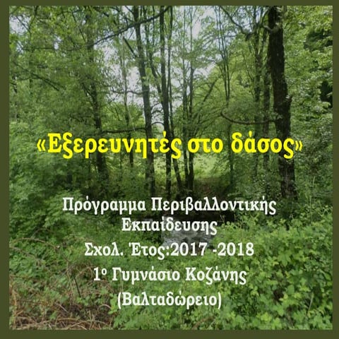 Εξερευνητές στο δάσος | PPTX