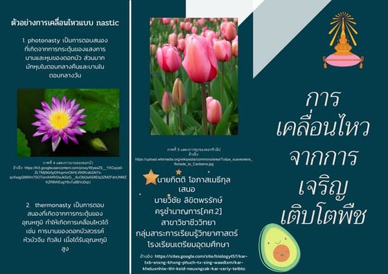 Plant Movement | PPT