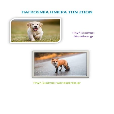 1. ΑΦΙΕΡΩΜΑ ΣΤΑ ΖΩΑ.pdf