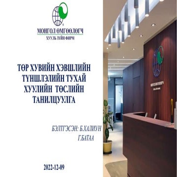 ТӨР ХУВИЙН ХЭВШЛИЙН ТҮНШЛЭЛИЙН ТУХАЙ ХУУЛИЙН ТӨСӨЛ ИЙН ТАНИЛЦУУЛГА Pptx