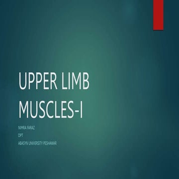Upper limb muscles | PPTX