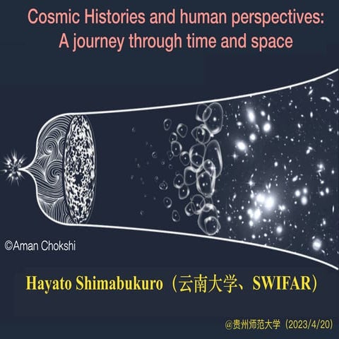 Cosmic Histories and human perspectives: A journey through time and ...