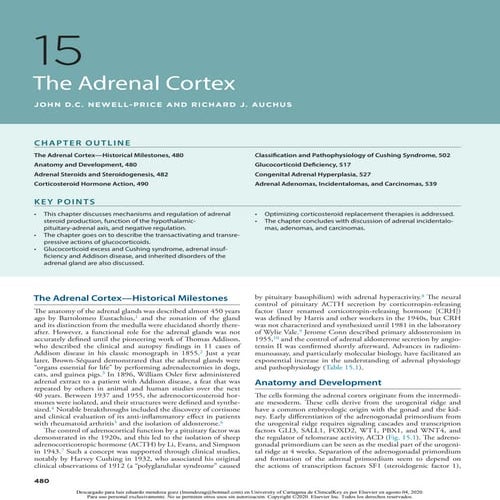 .-15 – The Adrenal Cortex.pdf