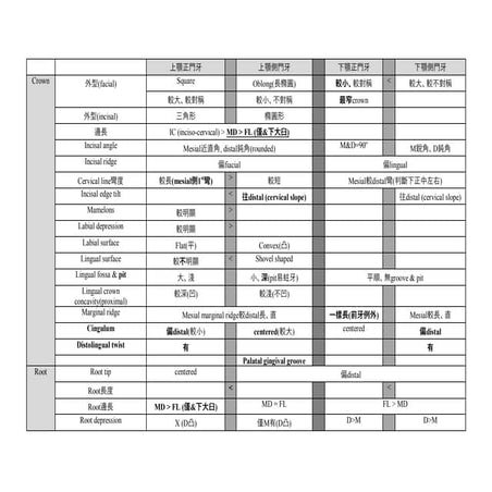Dental anatomy incisors.pdf