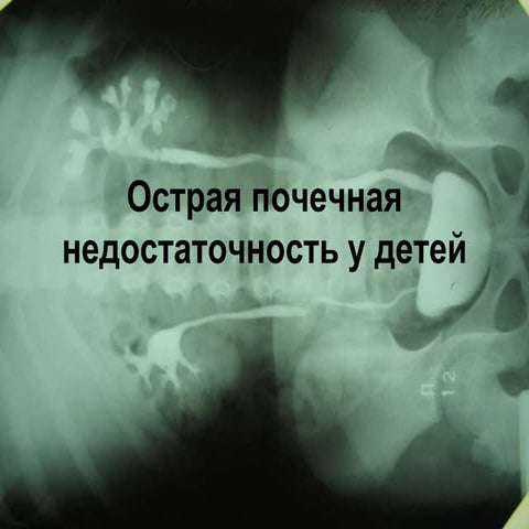 ОПП.ppt