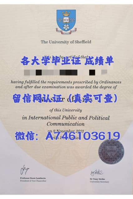 University of Chicago diploma | PDF