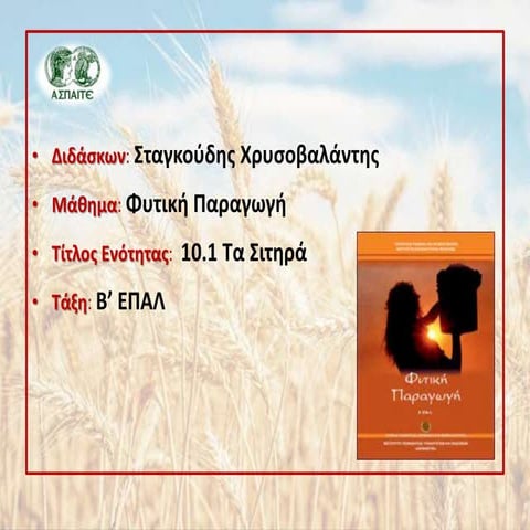 Σταγκούδης Χρυσοβαλάντης- Παρουσίαση ΠΑΔ- Β' ΕΠΑΛ- Τα στάδια ανάπτυξης ...