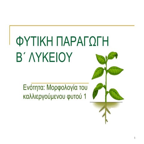 ΠΑΡΟΥΣΙΑΣΗ.pptx