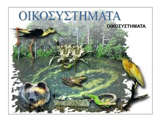 ΖΩΑ ΥΠΟ ΕΞΑΦΑΝΙΣΗ.ppt ΜΕΛΕΤΗ Γ-Δ ΤΑΞΗ ΑΓΡΙΑ ΖΩΑ | PPT