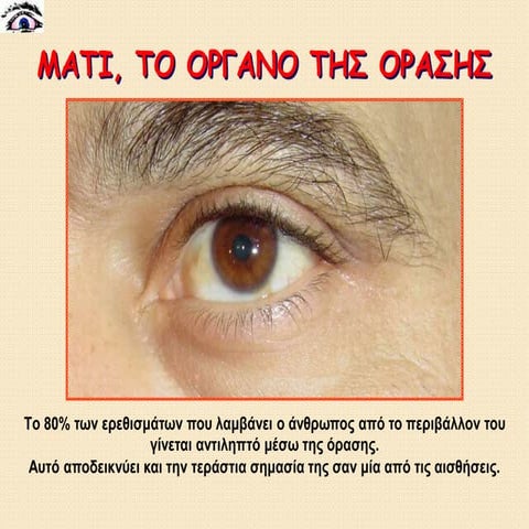 Μάτι, το όργανο της όρασης, τα μέρη του ματιού | PPT