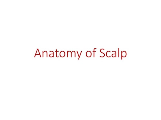 Anatomy of the Scalp | PPT