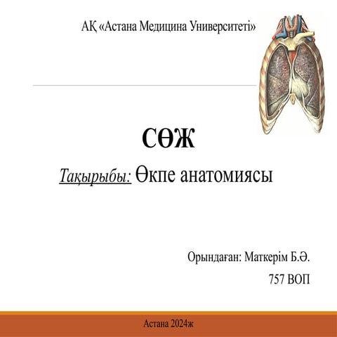 Өкпе анатомиясы медицина биология физиология | PPT